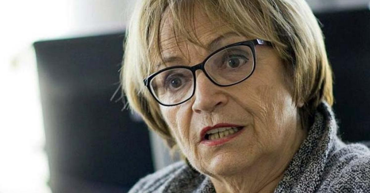 The European Parliament's former rapporteur on Bosnia and Herzegovina ...