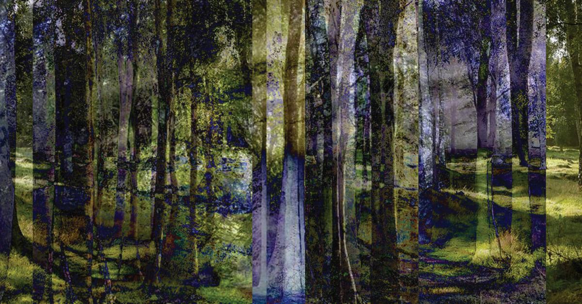The Forest - winner of the art contest "Praznina / The Void" | Pro Peace