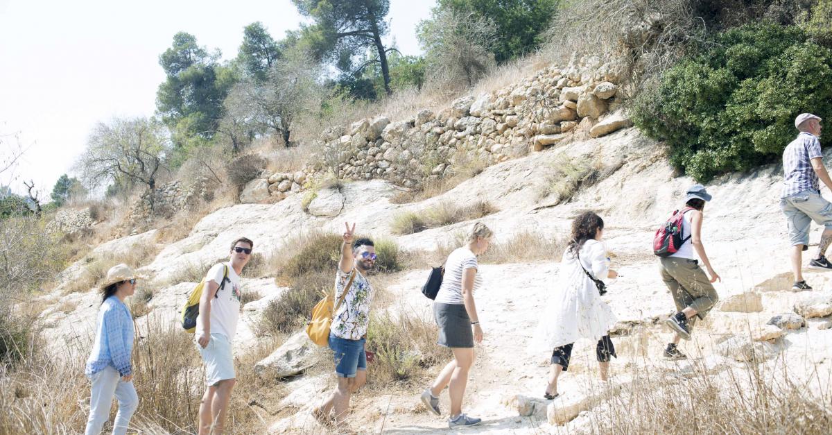 Inside the Matrix | Pro Peace